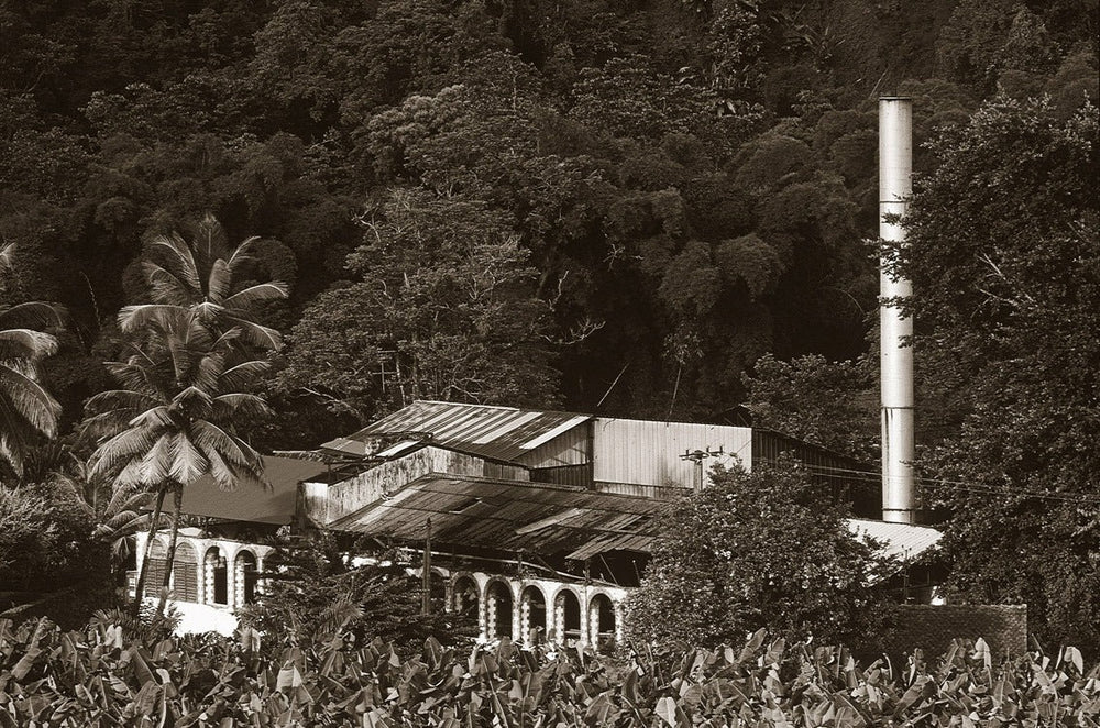 The Story of Bert "Tito" Beveridge: The Man Behind Tito’s Handmade Vodka