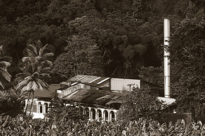 The Story of Bert "Tito" Beveridge: The Man Behind Tito’s Handmade Vodka