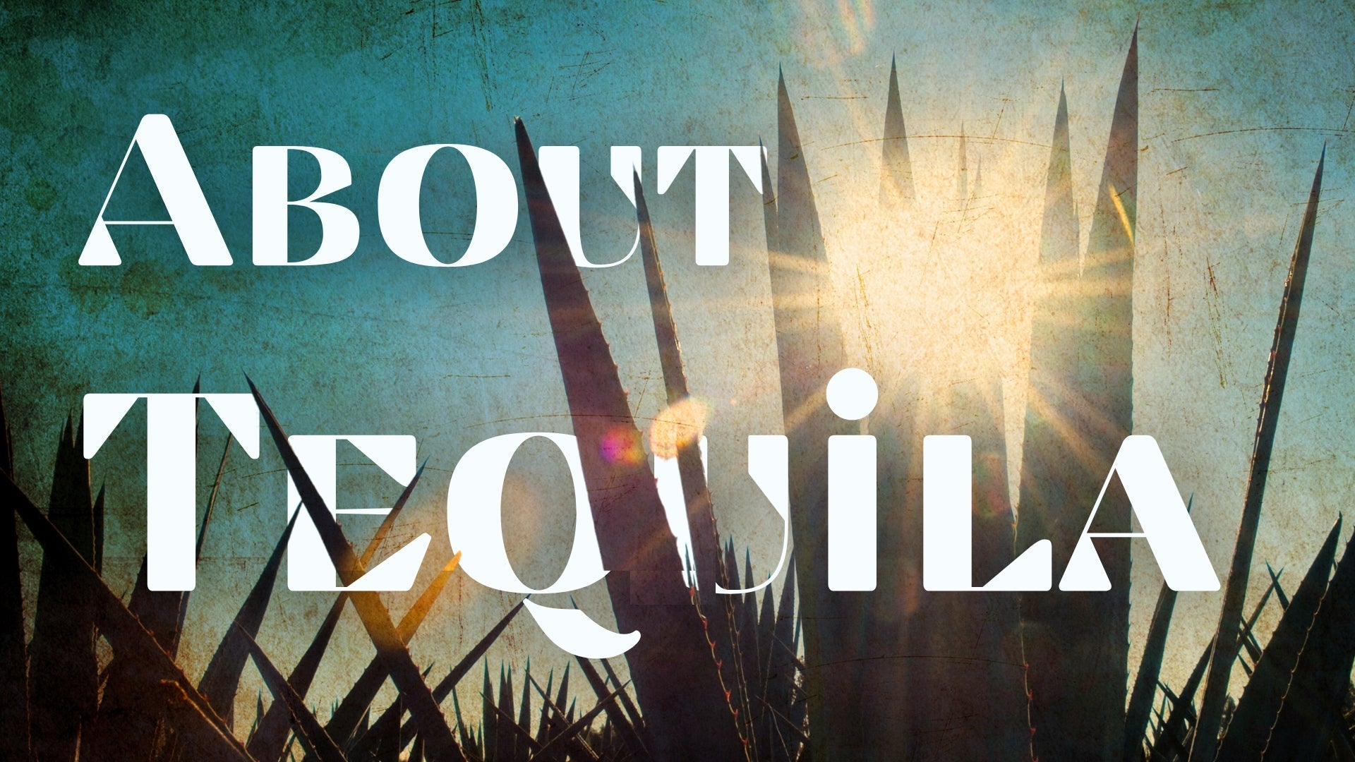 Tequila: The Spirit of Mexico, the Heart of Celebration